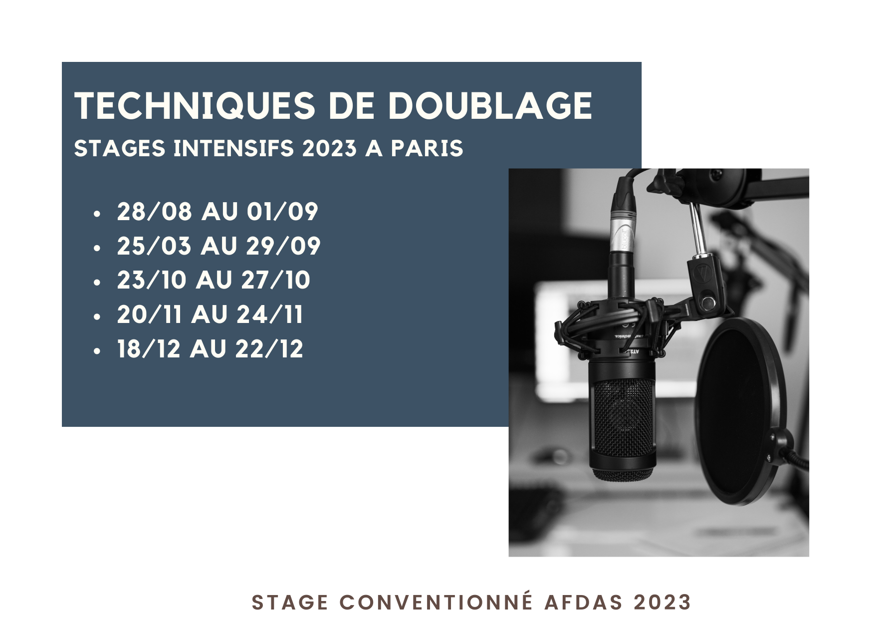 Doublage et post synchronisation — Rhinocéros Formation